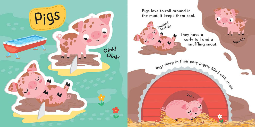 Build and Play Farm | Interactive Build & Play Kit for Kids (Robyn Gal ...